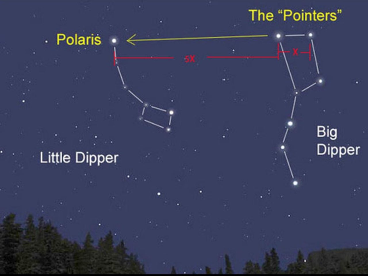 Big Dipper Archives – Malaspina Naturalists