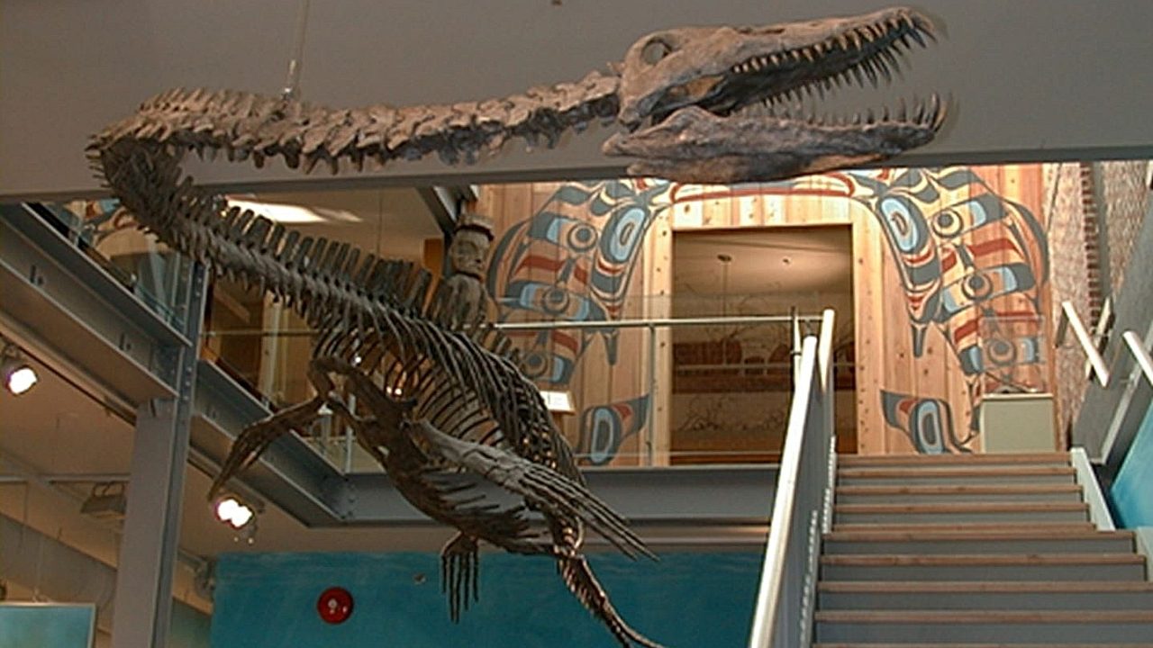 Pat Trask - "Dinosaurs of Vancouver Island"