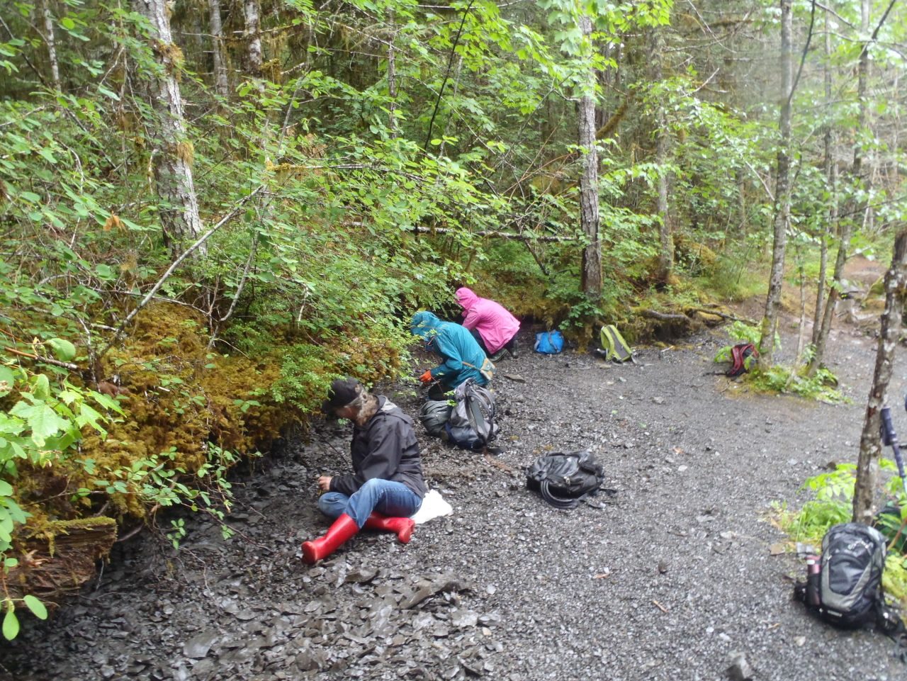 Courtenay Museum and Trent River Fossil Hunt