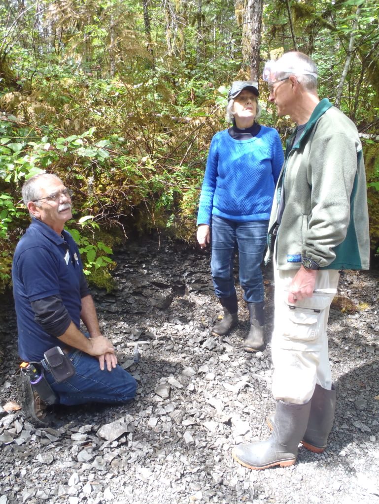 Courtenay Museum and Trent River Fossil Hunt