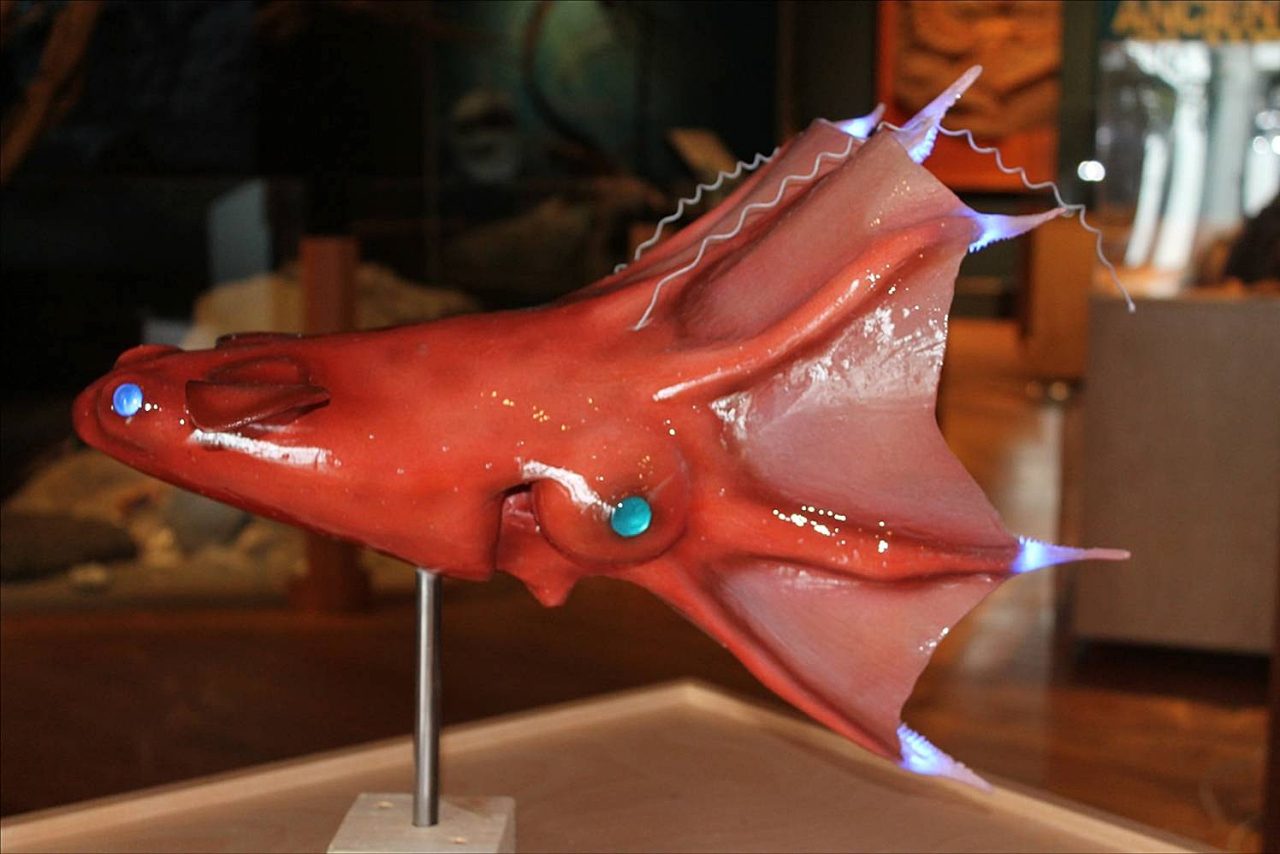 Pat Trask - "Dinosaurs of Vancouver Island"